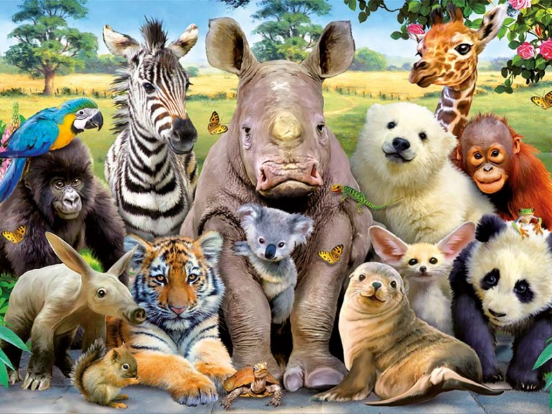 4 de octubre, día mundial de los animales 4 de octubre, día mundial de los animales